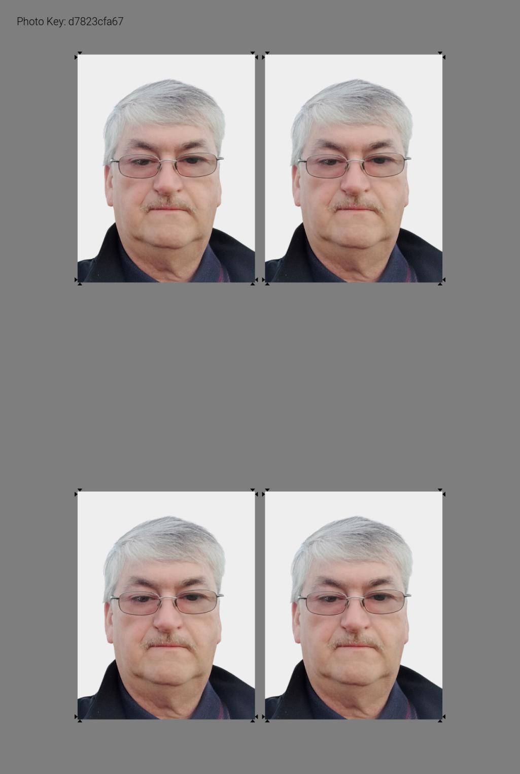 kawasaki zzr1200 's Profile [Biker Match]