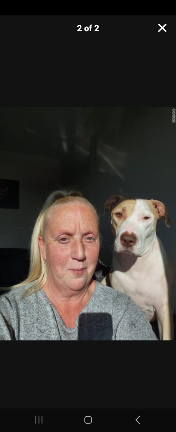 Janeryoda2024's Profile [Biker Match]